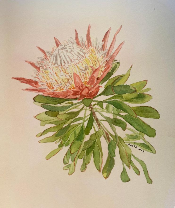 SANCTUARY: COOCHIE ART GROUP | Redland Art Gallery